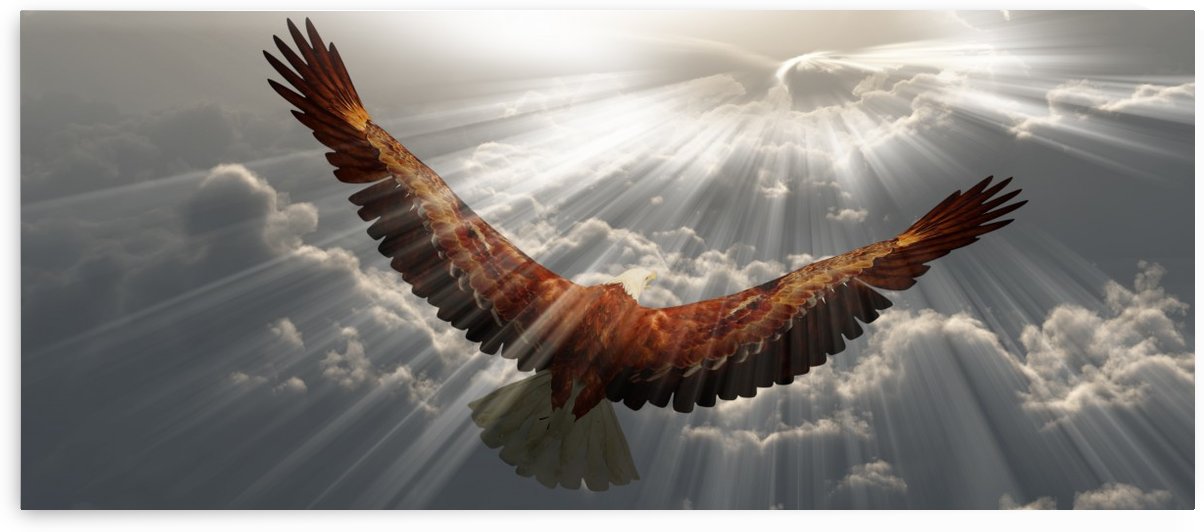 Bruce Rolff - // Art Collection