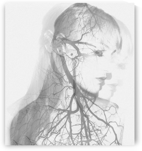 Heitor Magno Art Collection