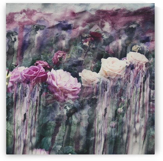 Heitor Magno Art Collection