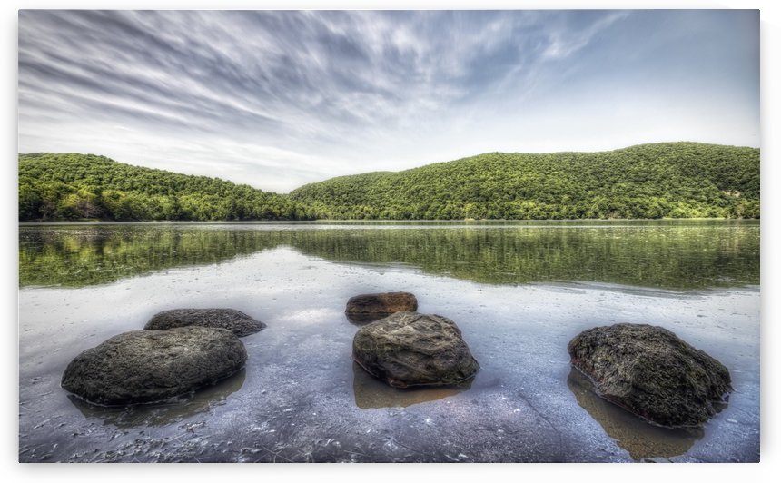 Ron Harris Art Collection