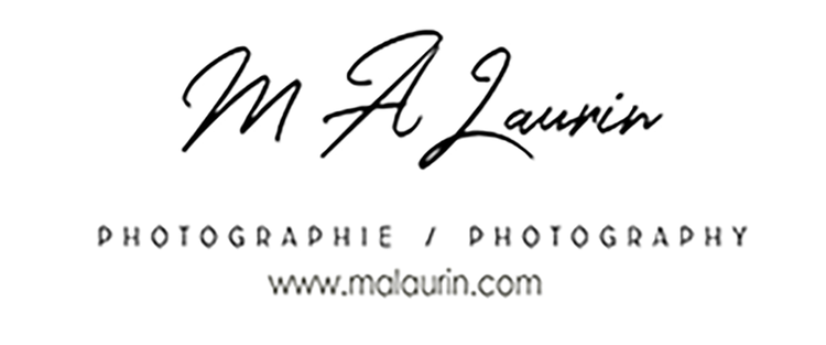 Marc Andre Laurin Photo