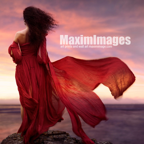 MaximImages Wall Art Art Collection
