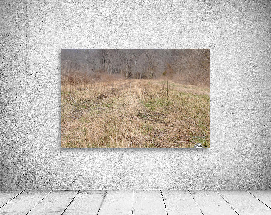 Rolling Field by Amber Handy Wall Art