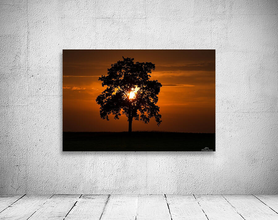 St. Georges Tree by Darren LeBlanc Wall Art
