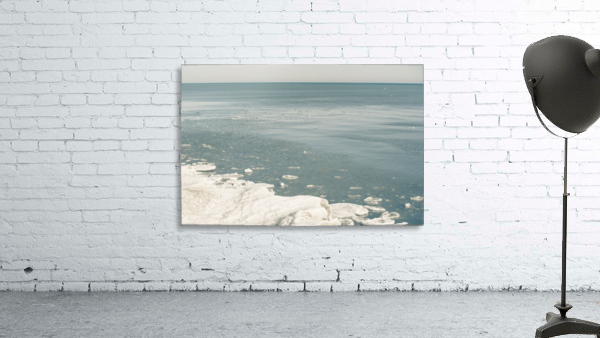 Blue Huron by Faded Photos Wall Art