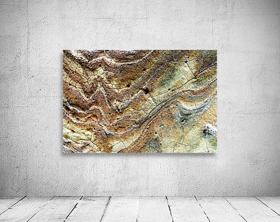 Signs Of Old Age by Deb Oppermann Wall Art