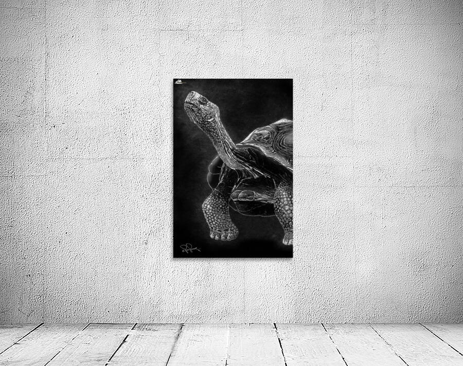 Scratch Turtle by P2 Wall Art