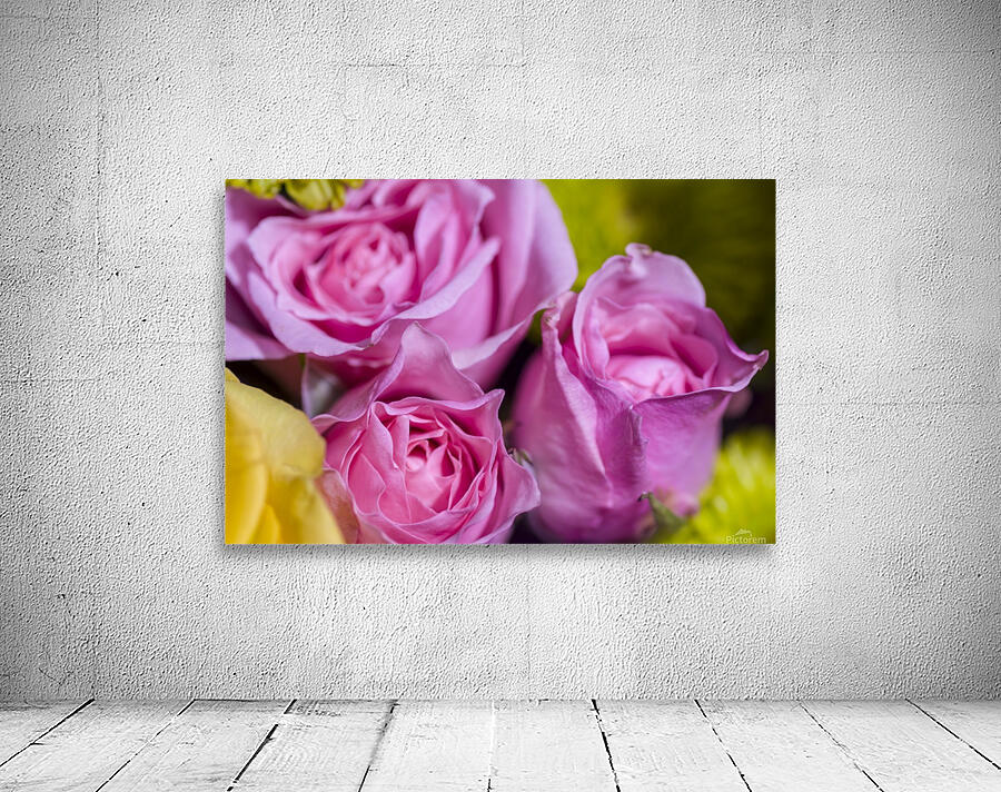 Pink Sweetheart Roses 2 by Bob Corson Wall Art