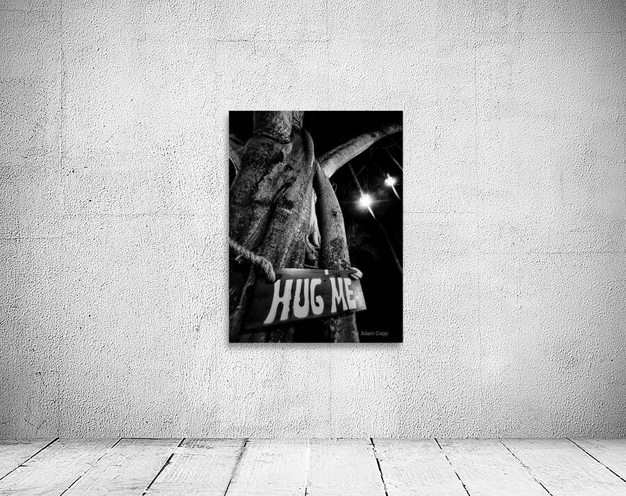 Hug me Tree - Grayscale Black and White by Adam Copp Wall Art