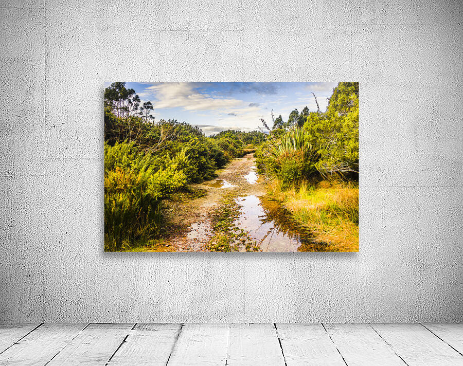 Puddles and outback tracks by Jorgo Wall Art