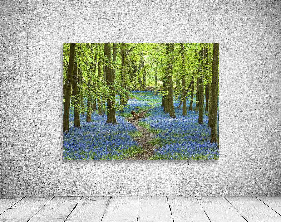 Azure Pathway by Assaf Frank Wall Art