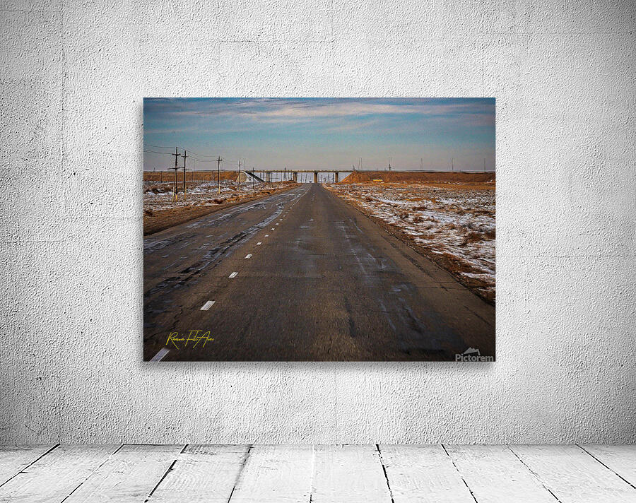 Road to the Cosmodrome Kazakhstan 1 by DomaraArtscape Wall Art