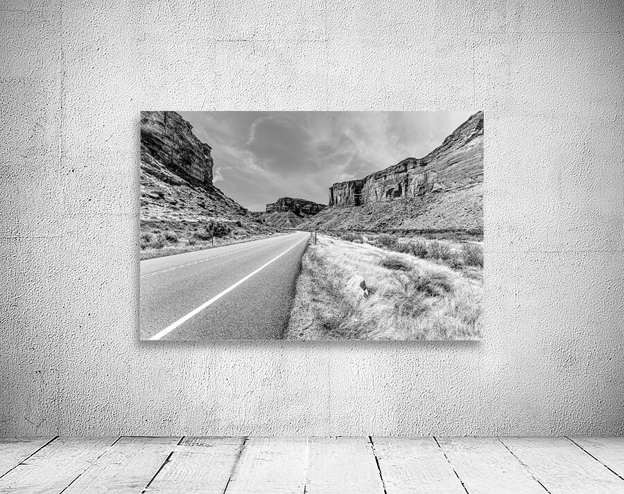 Utah Scenic Highway 128 Roadside Grayscale by Jennifer White Wall Art