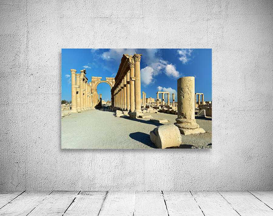 SYRIA. The ancient city of Palmyra by Marco Brivio Wall Art