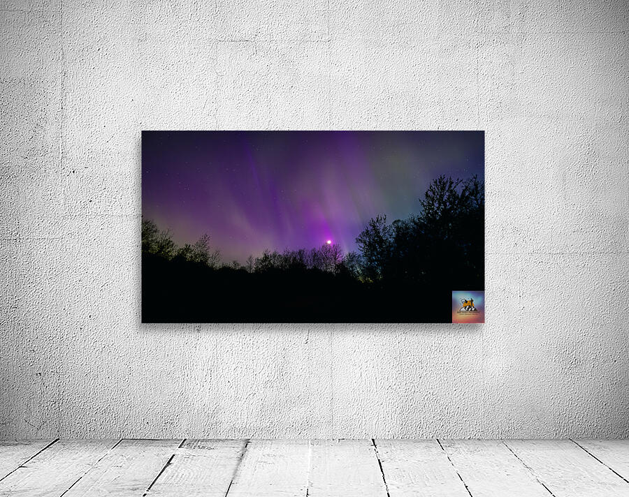 Aurora and Moonlight over the Canopy by Marc Gilbert Photography Wall Art