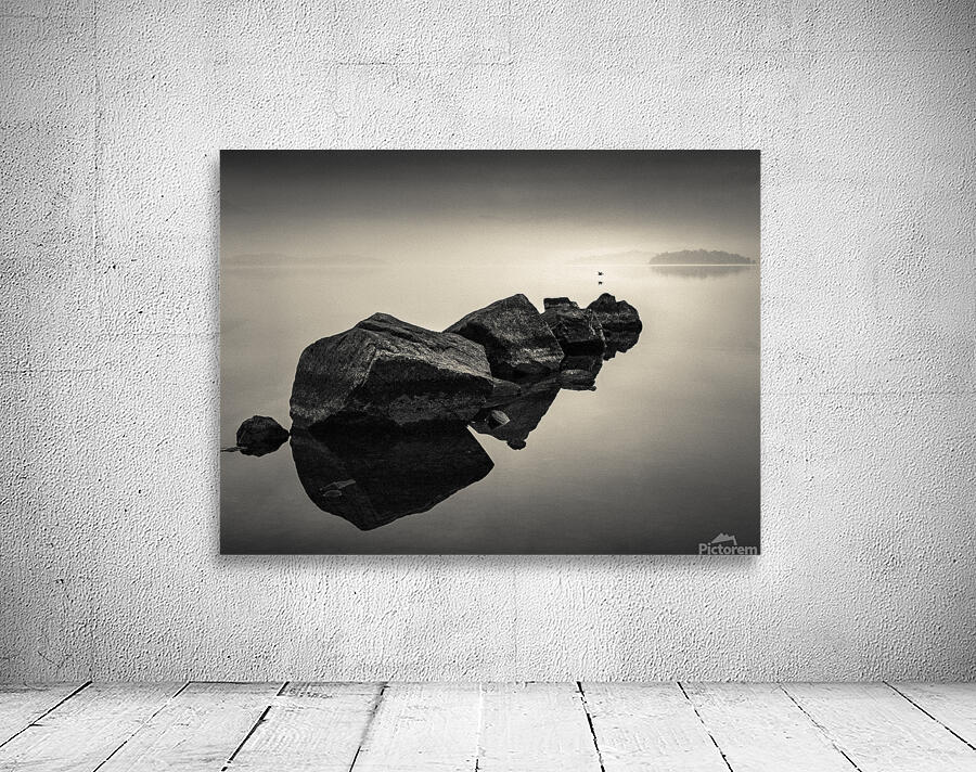 Dawn Flight by Dave Bowman Wall Art