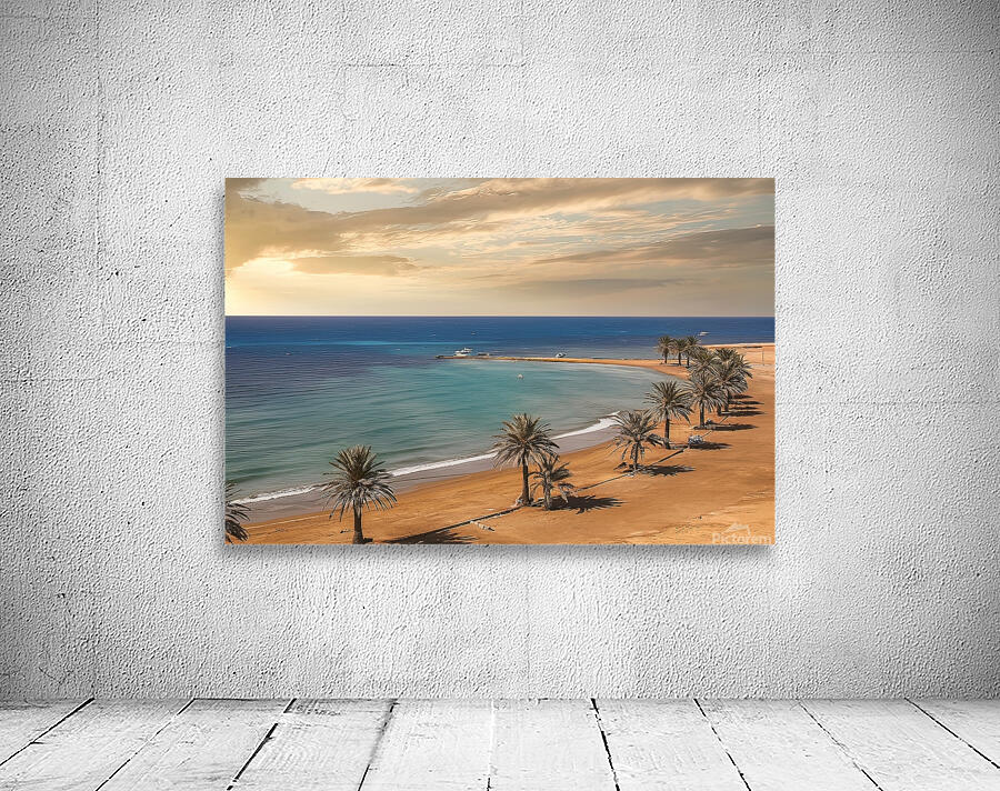 palm trees on the Red Sea 4 by Liviu Ghitun Wall Art