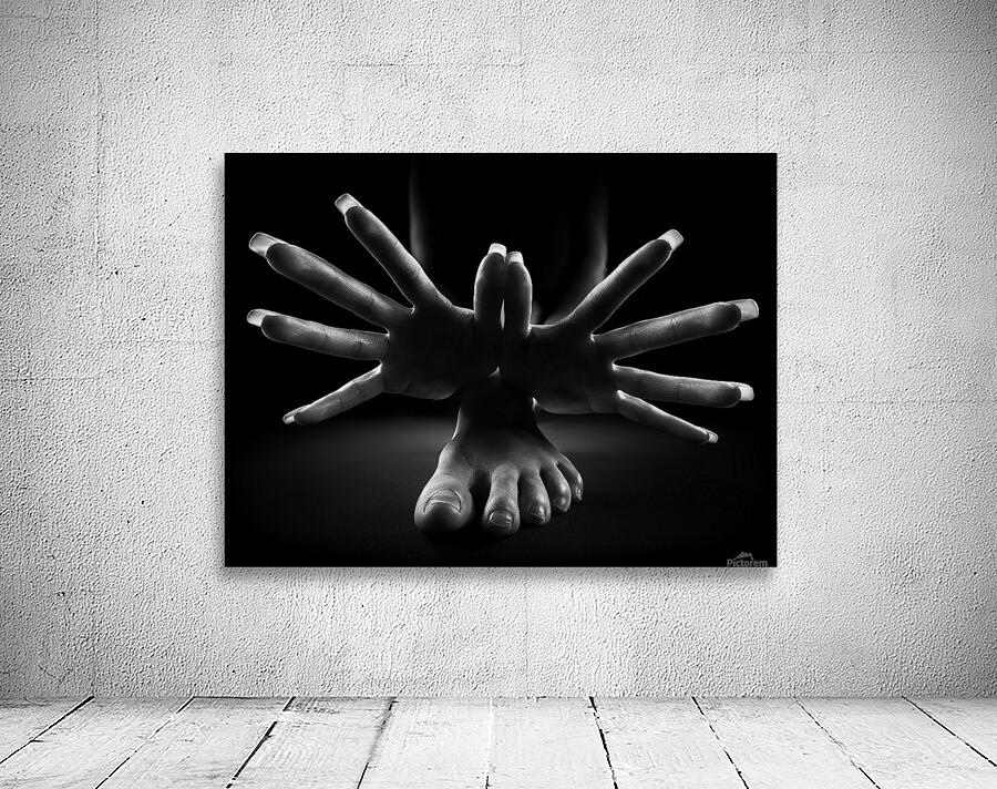 Figurative Body Parts 2 by Johan Swanepoel Wall Art