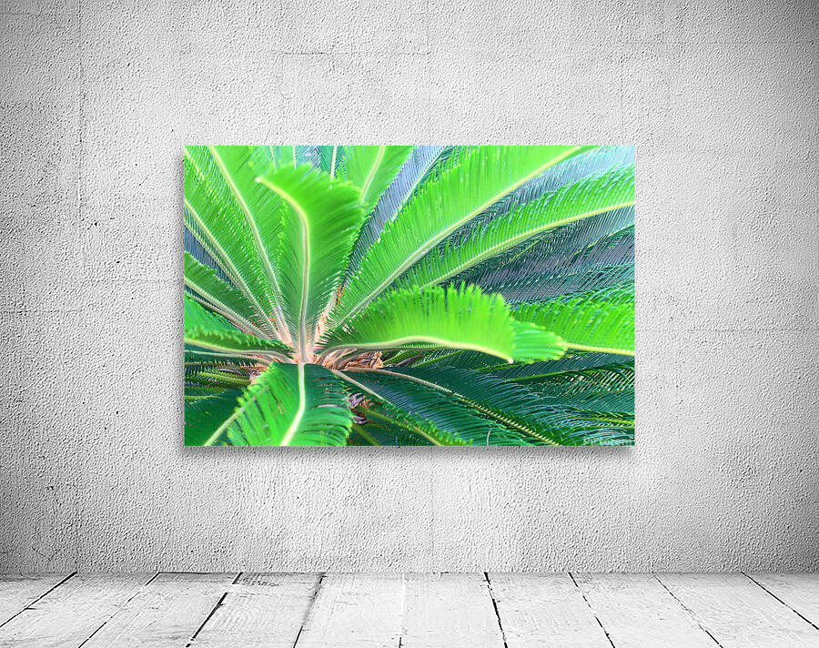 Vibrant Green Palm Tree in Belize by Timeless Scenery Photography Wall Art
