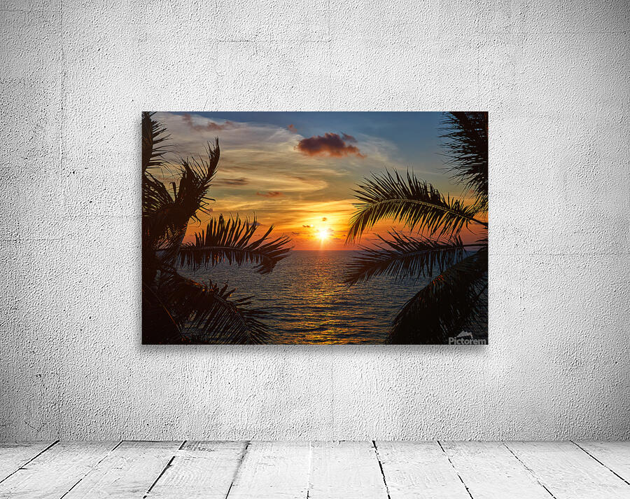 Ocean sunset visible through palm leaves by Dmitry Rukhlenko Wall Art
