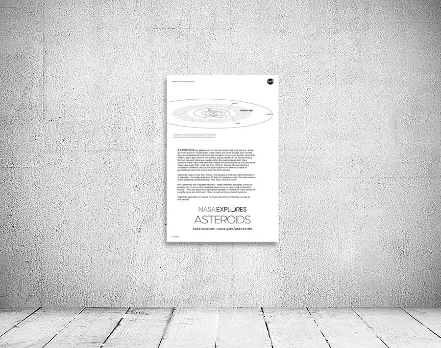 Asteroids Infographic NASA Poster by Conceptual Photography Wall Art
