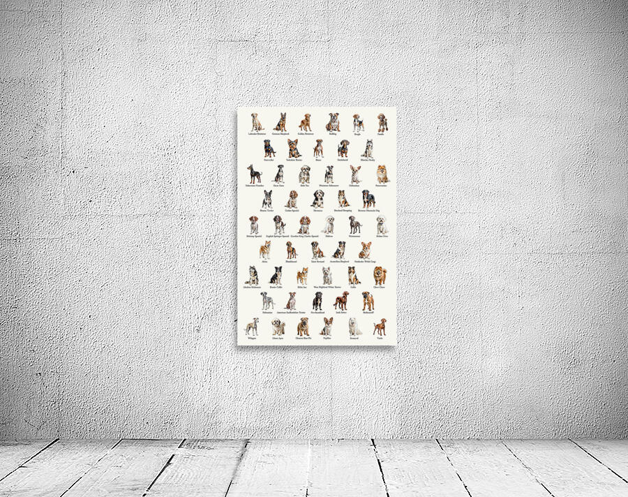 50 Dog Breeds by Dekel Bar Wall Art