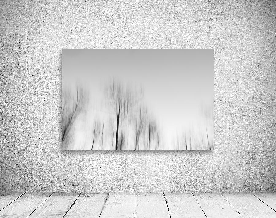 The Trees of November by R Natale Photography Wall Art