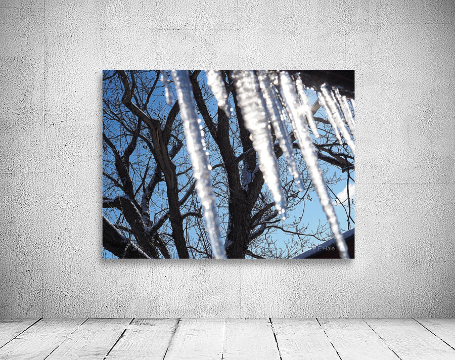 Ice cycle Melt by P E Hale Wall Art