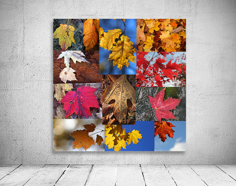 The Colors of Fall Collage by Mary Bedy Wall Art