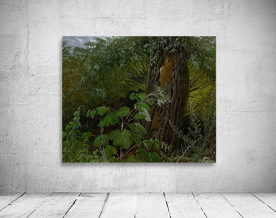 Willow trunk with undergrowth [circa 1820] by Carl Gustav Carus [1789 ...