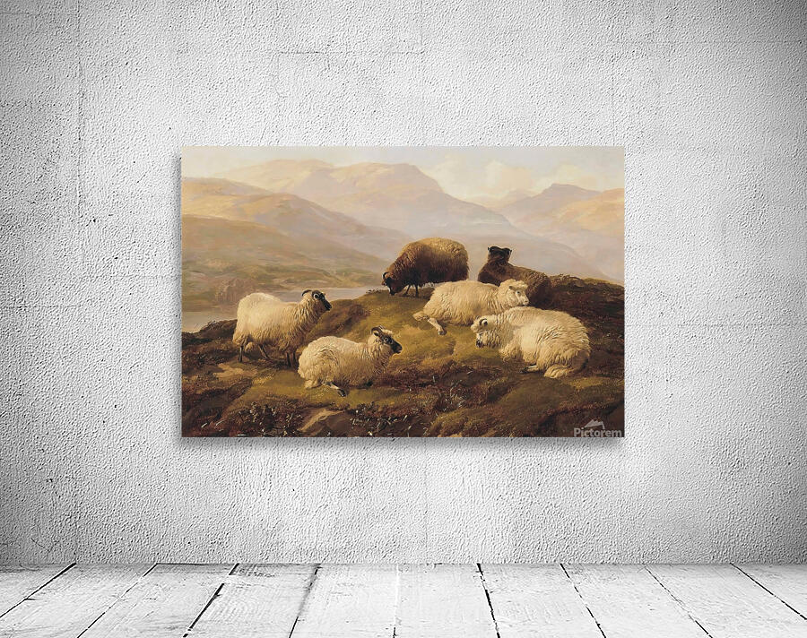 Sheep Resting In A Highland Landscape [1851] by Thomas Sidney Cooper ...