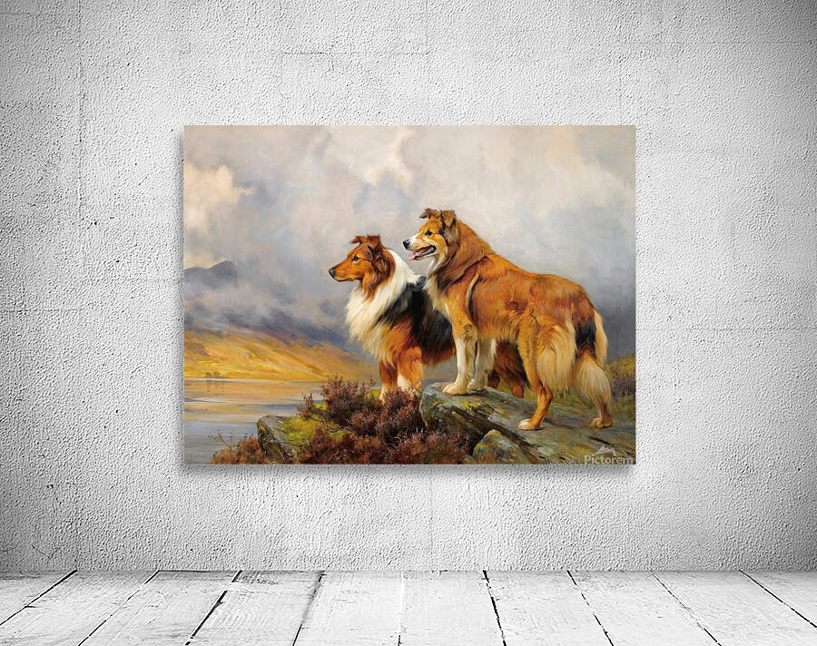 Two Collies Above A Lake by Wright Barker [1864–1941] by MyCozyFineArt ...
