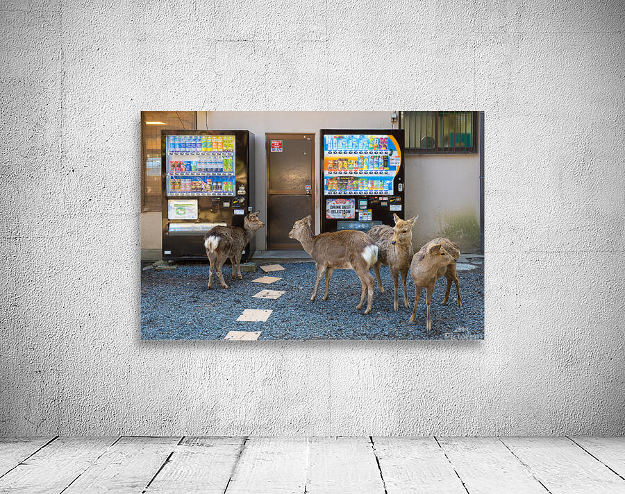 Deer and Vending Machines - Nara Japan by Matthias Hauser Wall Art