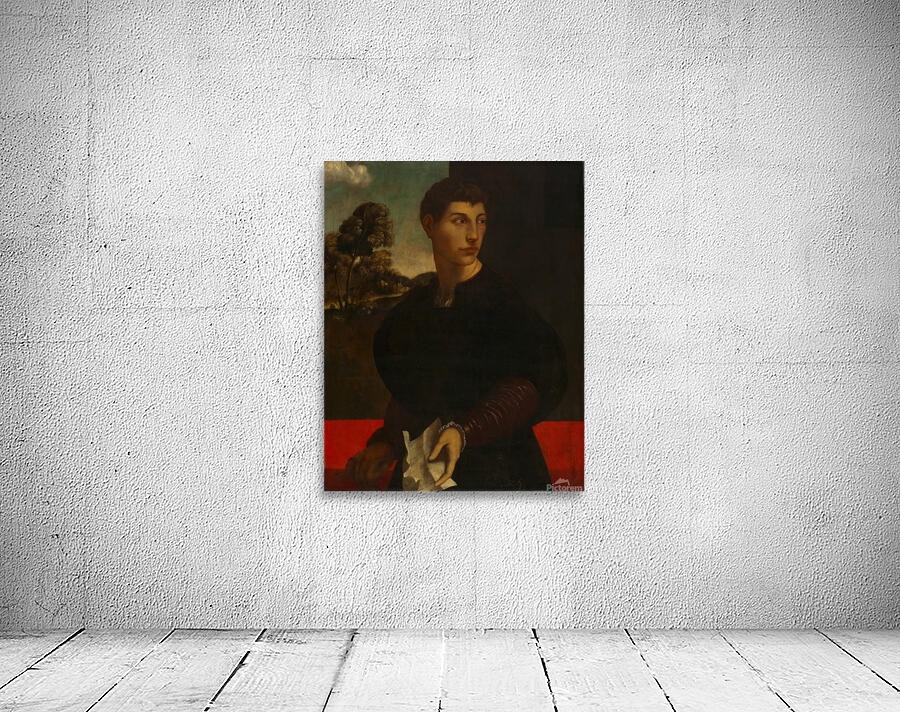 Portrait of a Young Man [c. 1530] by Dosso Dossi [1489–1542] by ...