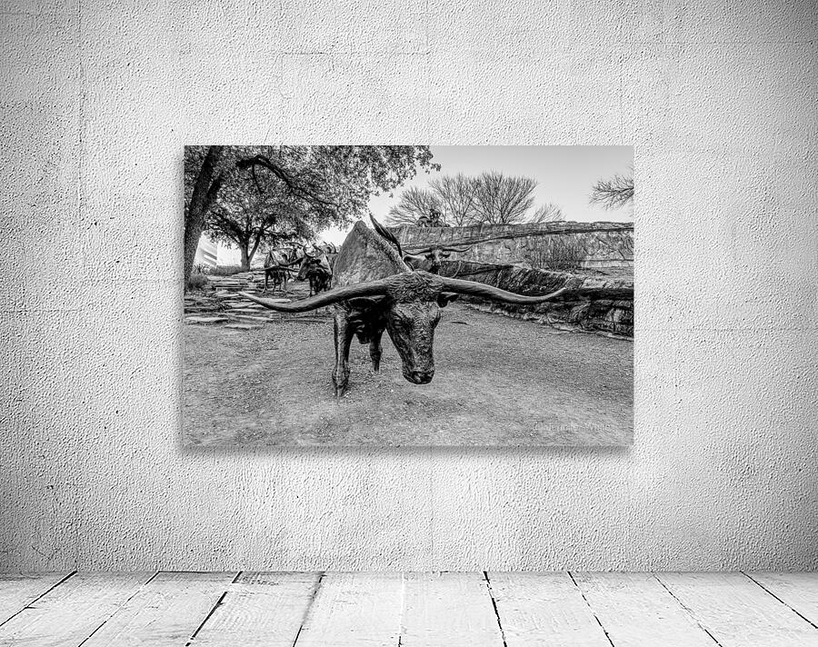 Bull Steer Statue Dallas Grayscale by Jennifer White Wall Art
