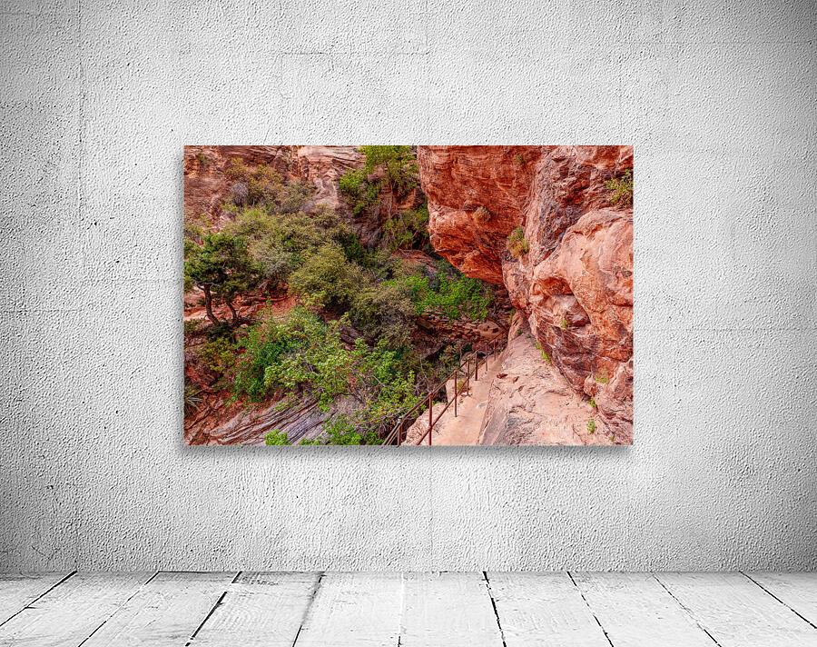 Narrow Cliff Trail To Zion Canyon Overlook by Jennifer White Wall Art