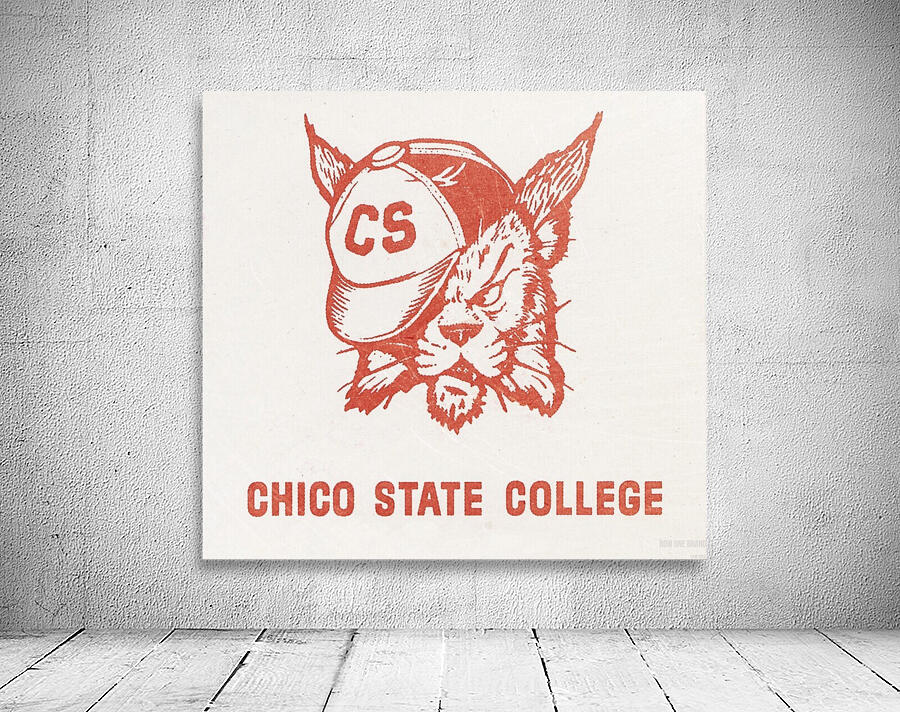 1950s Chico State College Wildcat Art by Row One Brand Wall Art