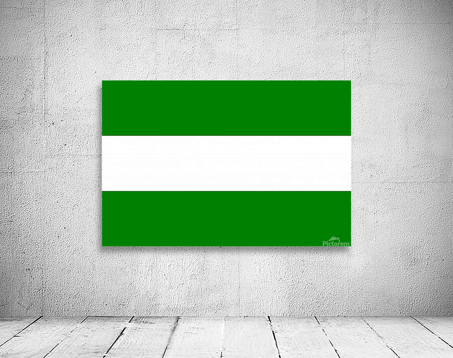 Rotterdam flag by Tony Tudor Wall Art