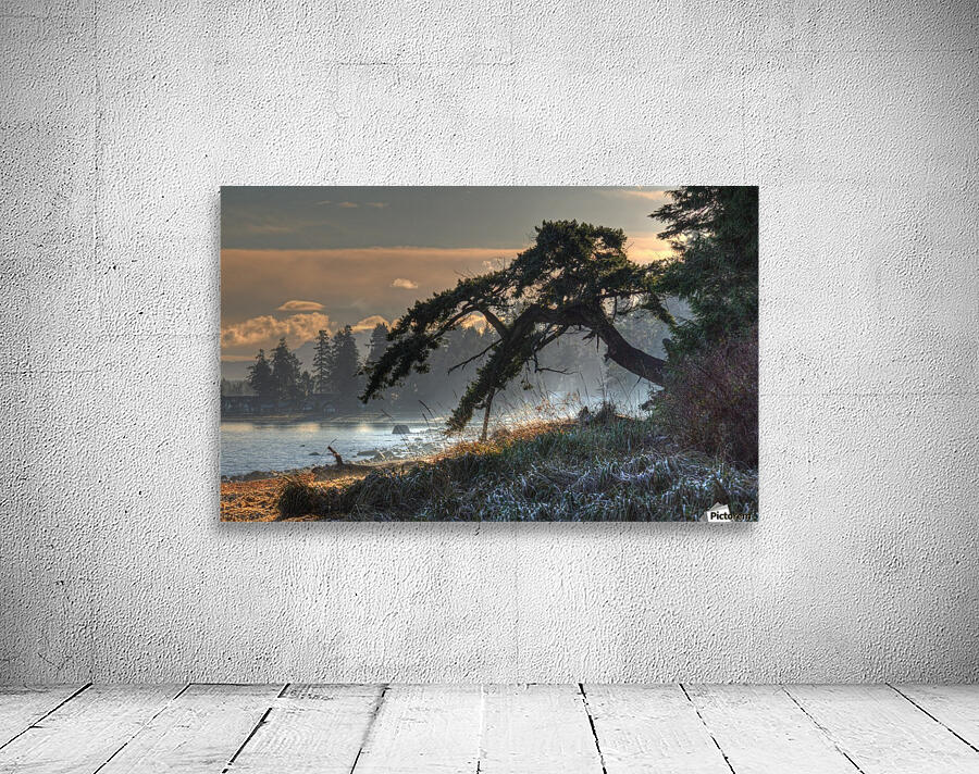 Buccaneer Beach by Randy Hall by Randy Hall Wall Art