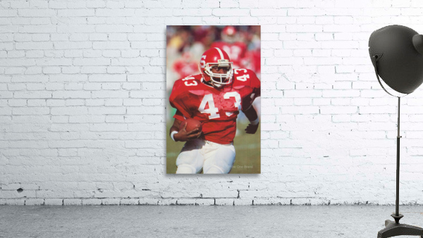 1983 Joe McIntosh NC State Football Poster by Row One Brand Wall Art