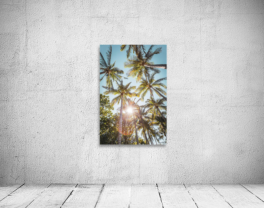 Palm Tree Bliss by WeStaySocial Art Wall Art
