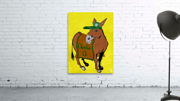 1965 Kansas City Athletics Charlie O Mule Art by Row One Brand Wall Art