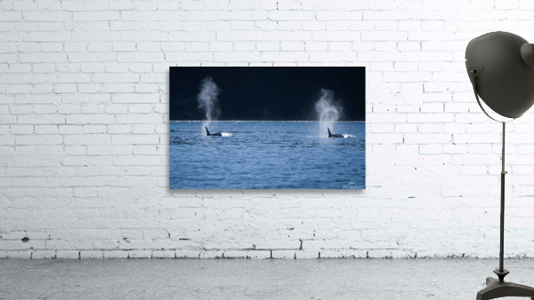 Synchronized Breathing by Amanda Stern Wall Art