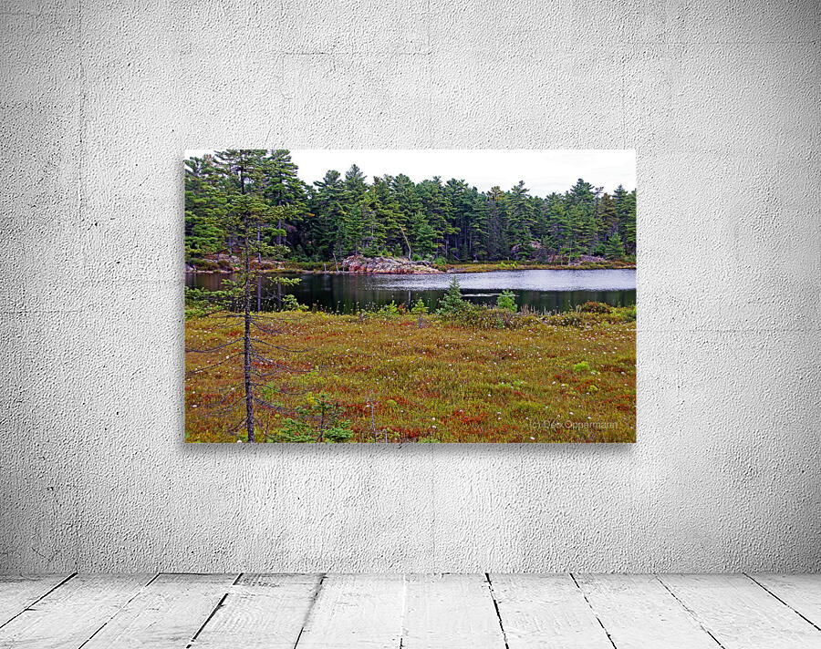 The Lake East Sampson Island by Deb Oppermann Wall Art