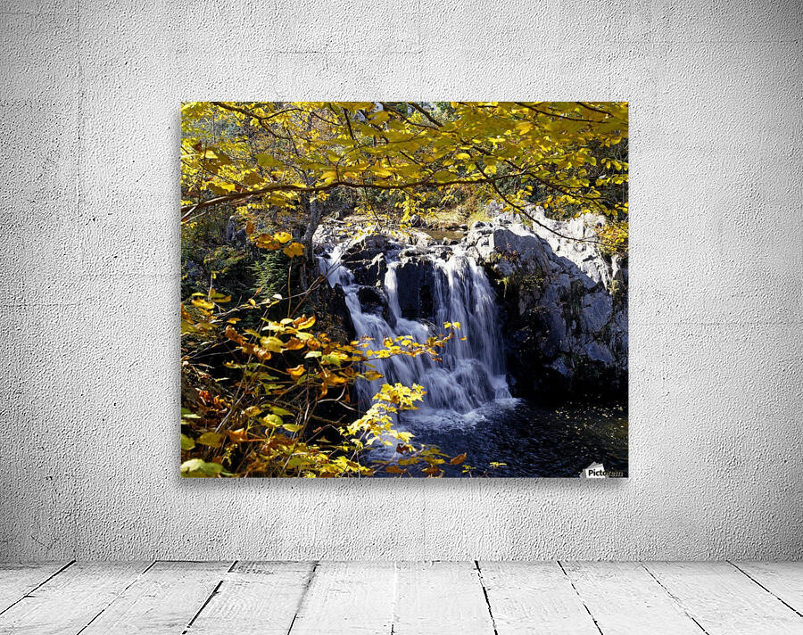 Small Waterfall Among Trees by PacificStock Wall Art