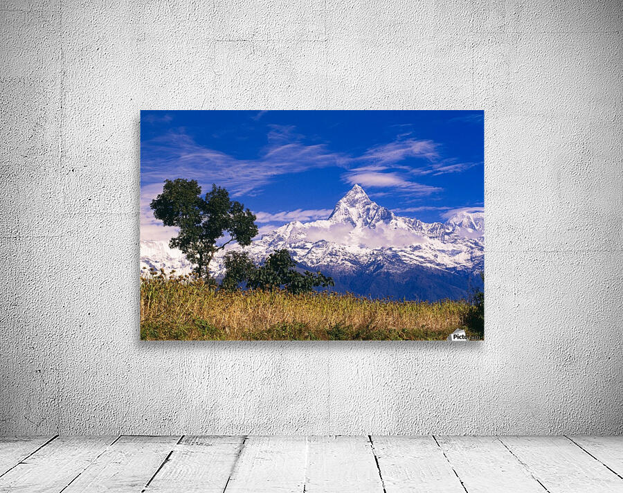 View Of Machhapuchhare From Sarangkot, Annapurna Region, Nepal by ...