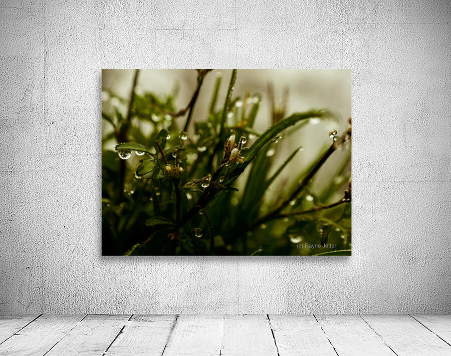 Your Grass is Green Too by LunarRise Photography Wall Art