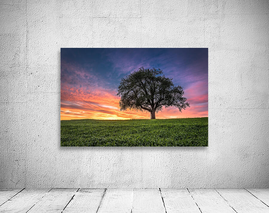 Lonely Tree at Sunset by Andreas Wonisch Wall Art