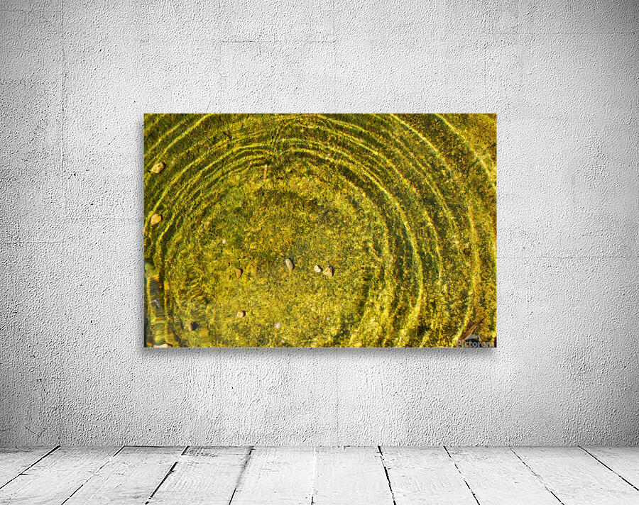 Concentric ripples in a shallow pebble filled pond by Thevectoryfloor ...