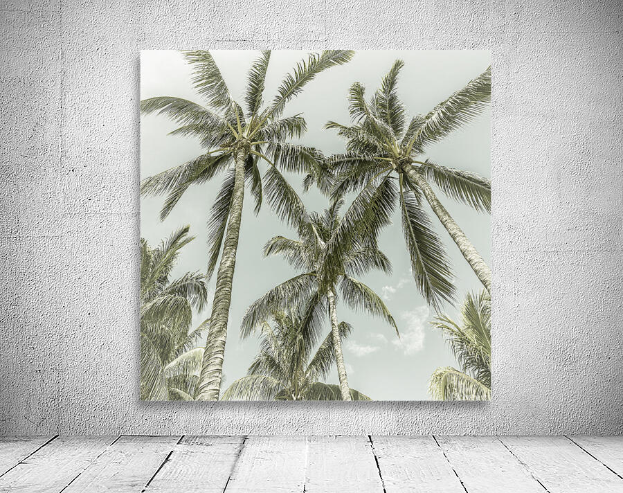 Lovely Palm Trees | Vintage by Melanie Viola Wall Art